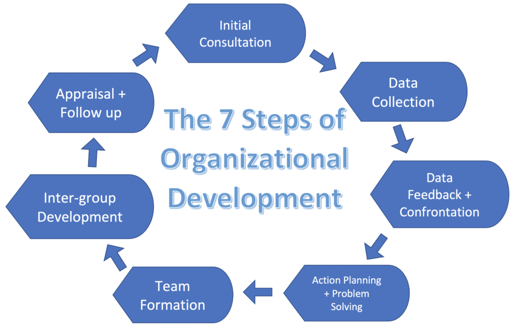 What is Organizational Development? – S-Saba Consultants